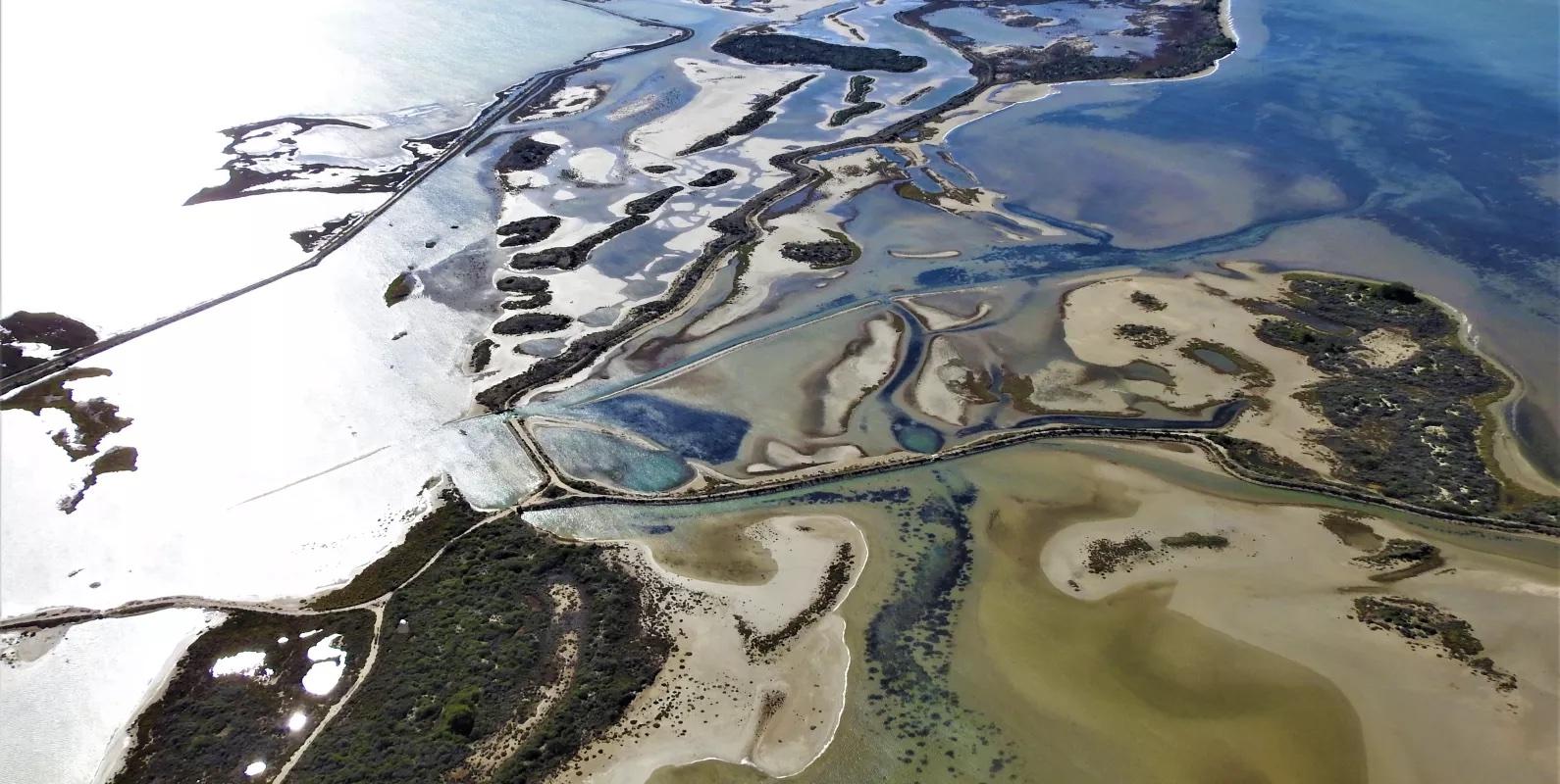 Pourquoi et comment préserver les zones humides