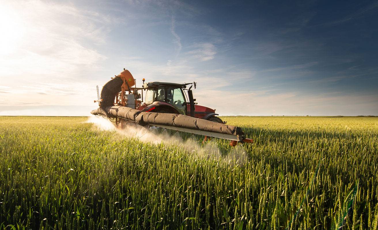 Néonicotinoïdes : comment donner de l’ambition aux mesures miroirs ...