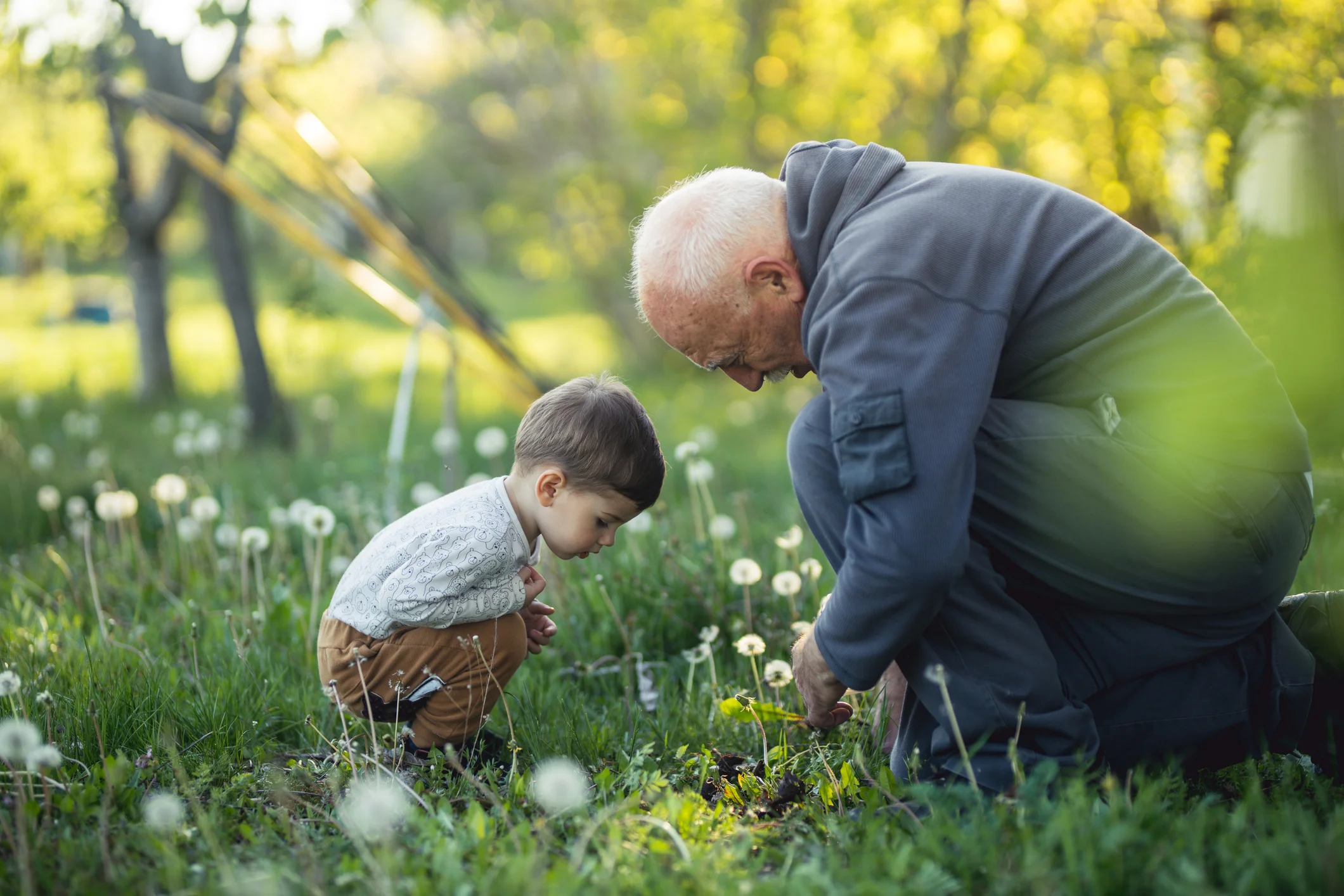 Pourquoi et comment se reconnecter à la nature ? - Fondation pour la ...